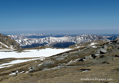 destinatiidevacanta.blogspot.com: Buşteni - Babele, Sfinxul - Platoul ...
