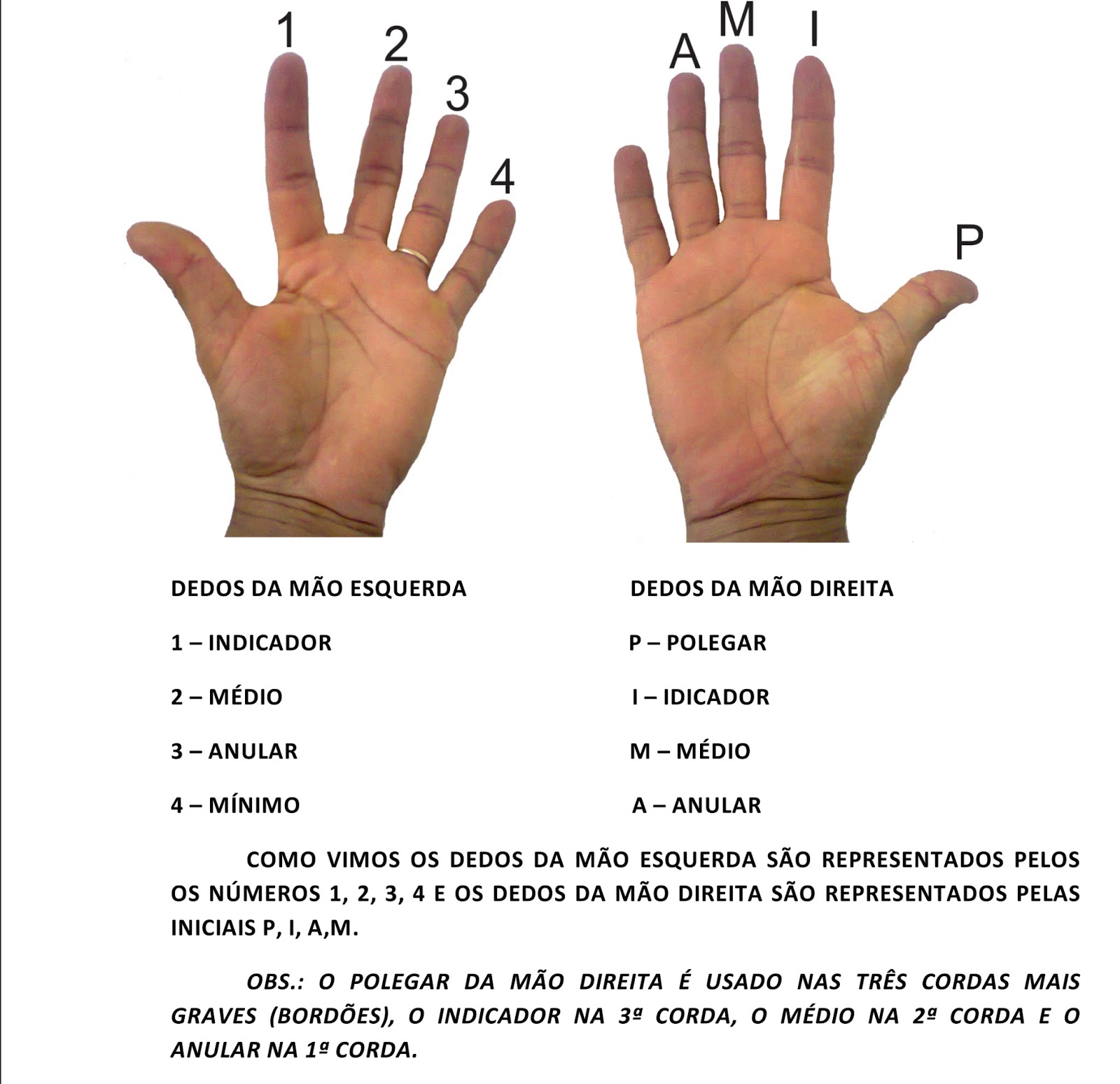Quinto Dedo Da Mão - FDPLEARN