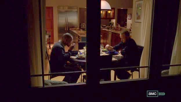 Breaking Bad TV Review Zoo