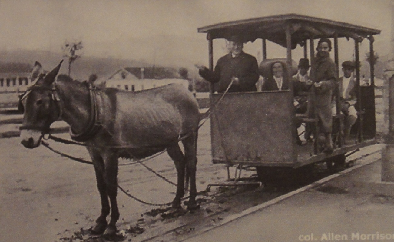 Deborah Prates: DAS REVOLTAS DO VINTÉM