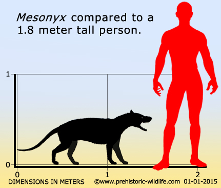 Zaman Tertier: August 2015