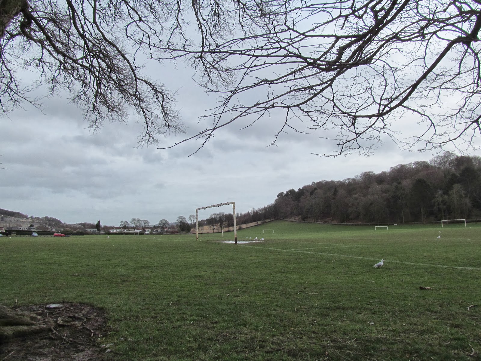 Dundee Photos - City of Discovery: Lochee Park Dundee