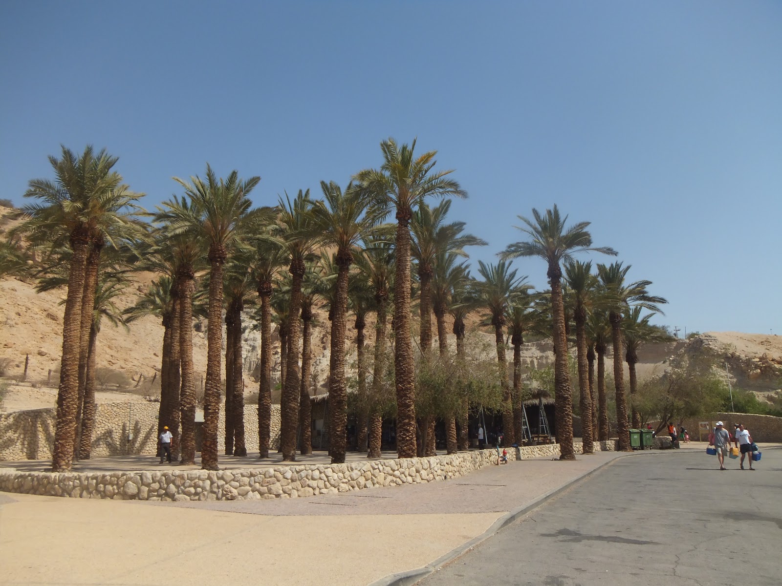 David and Saul at Ein Gedi