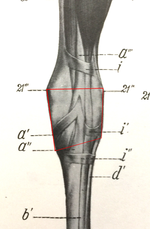 Musings at Minkiewicz Studios LLC: The Inner Eye: Quick Visualization ...