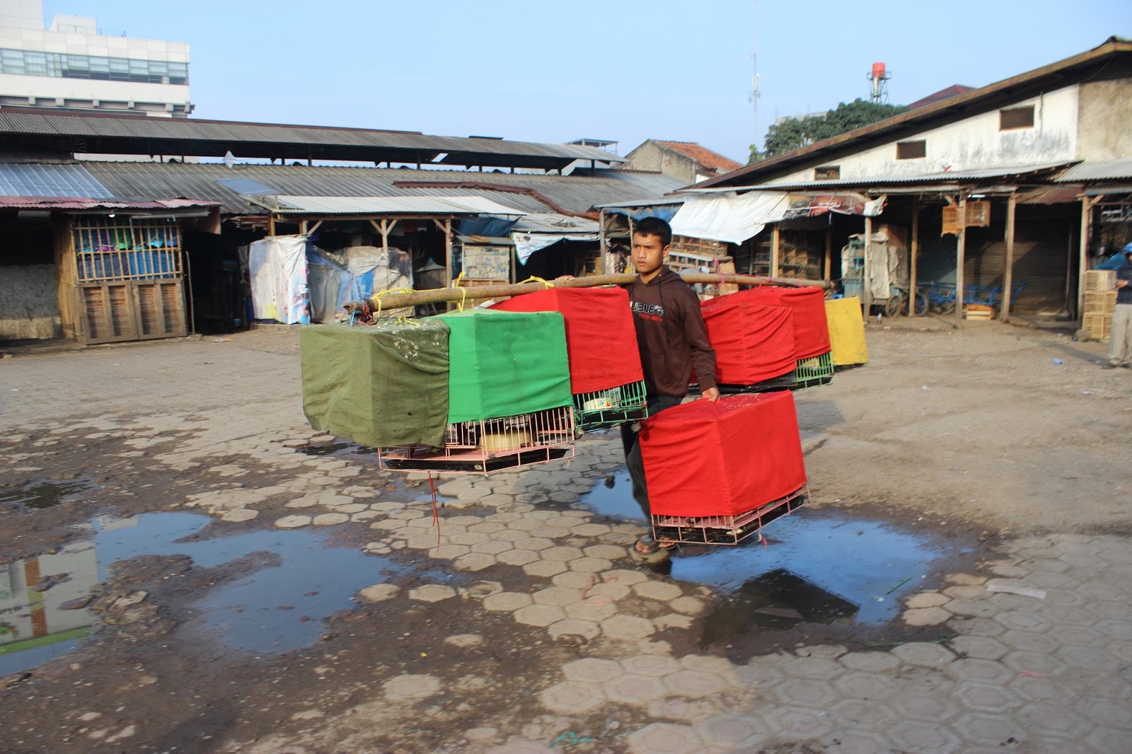 Pasar Burung Sukahaji | Uncle Seronok