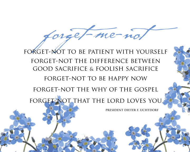 Little Miss Missy: forget me not-and the pictures are always nice to ...