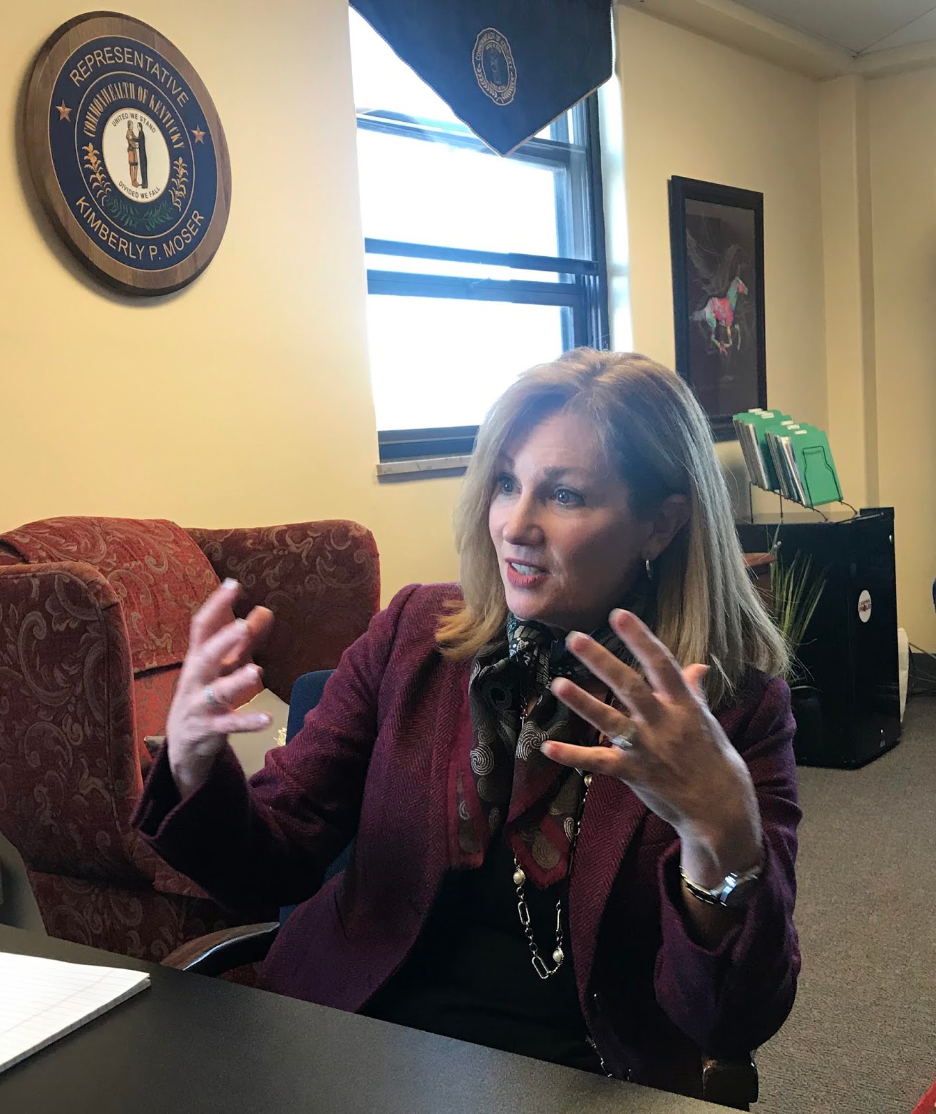 KENTUCKY HEALTH NEWS: New House health committee chair says she asked ...