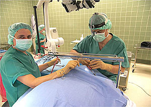 mandeloperation - Germany News Collections