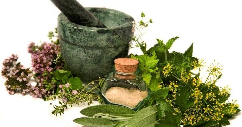 10 plants that help relieve inflammation