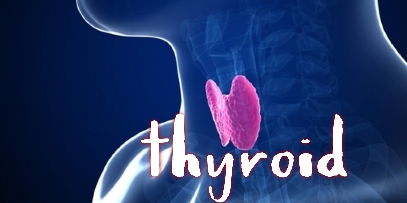 Your Thyroid: How it works and what can go wrong...
