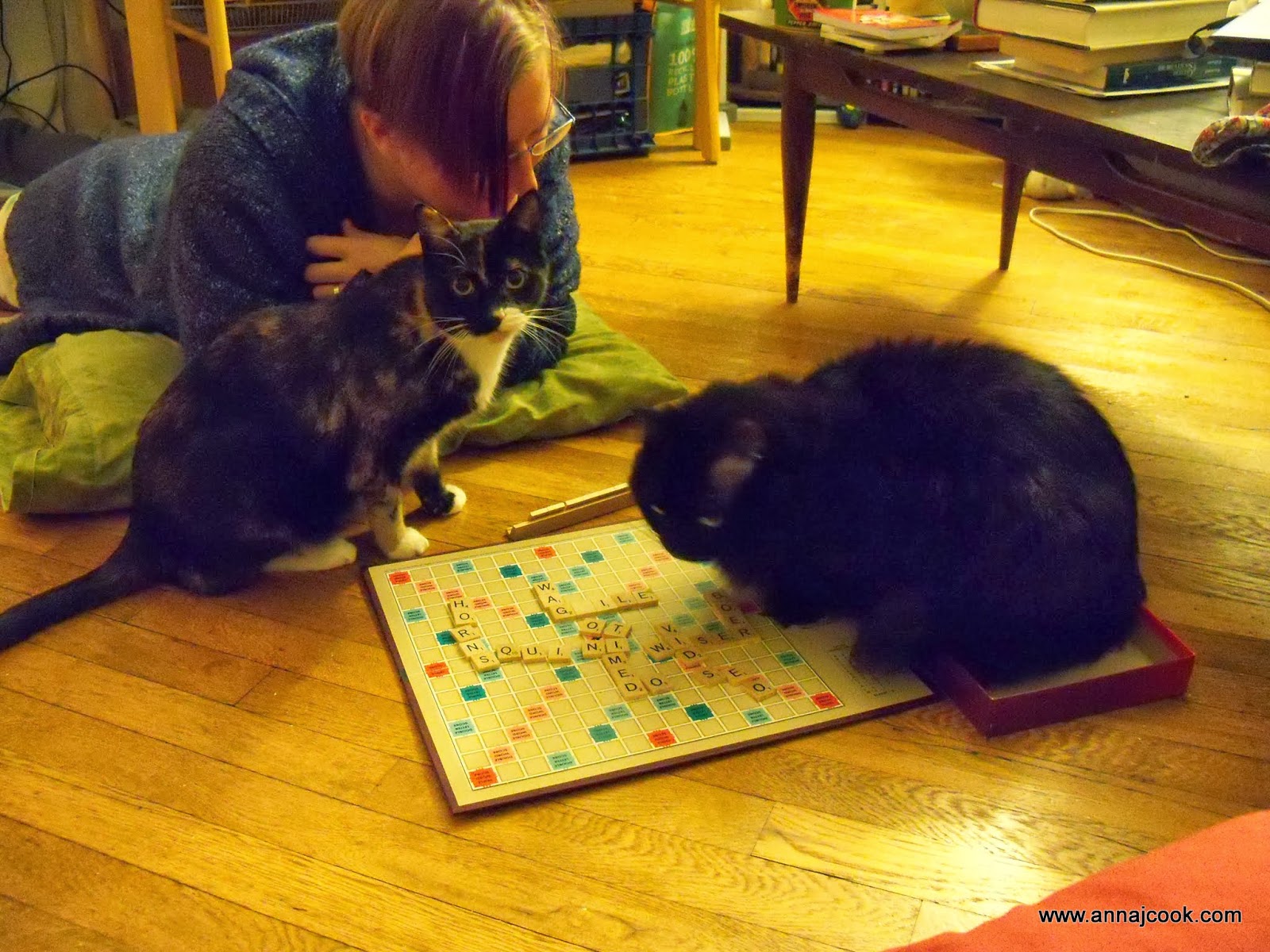 the feminist librarian: scrabble with cats, take two [photo post]