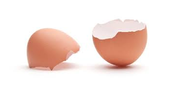 Casca de Ovo - Valor Nutricional | Saude