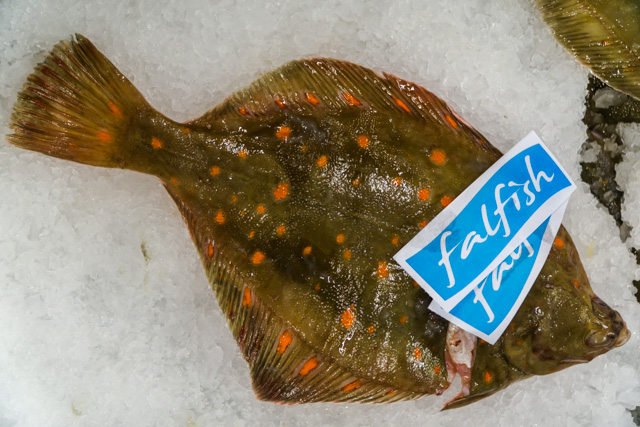 Through the Gaps! - Newlyn Fishing News: Monday's morning fish market ...