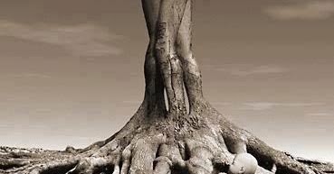 Horoppa ‘হরপ্পা’: বেদান্তদর্শন-বিশিষ্টাদ্বৈতবেদান্ত-০৬ : অদ্বৈতবাদ ও ...