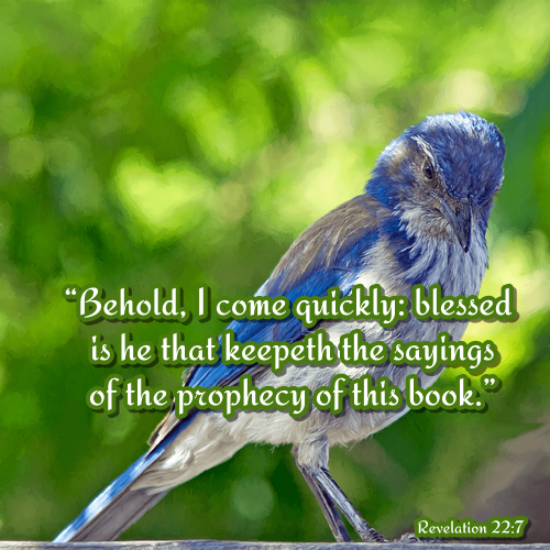Repented Hearts: “Behold, I come quickly: