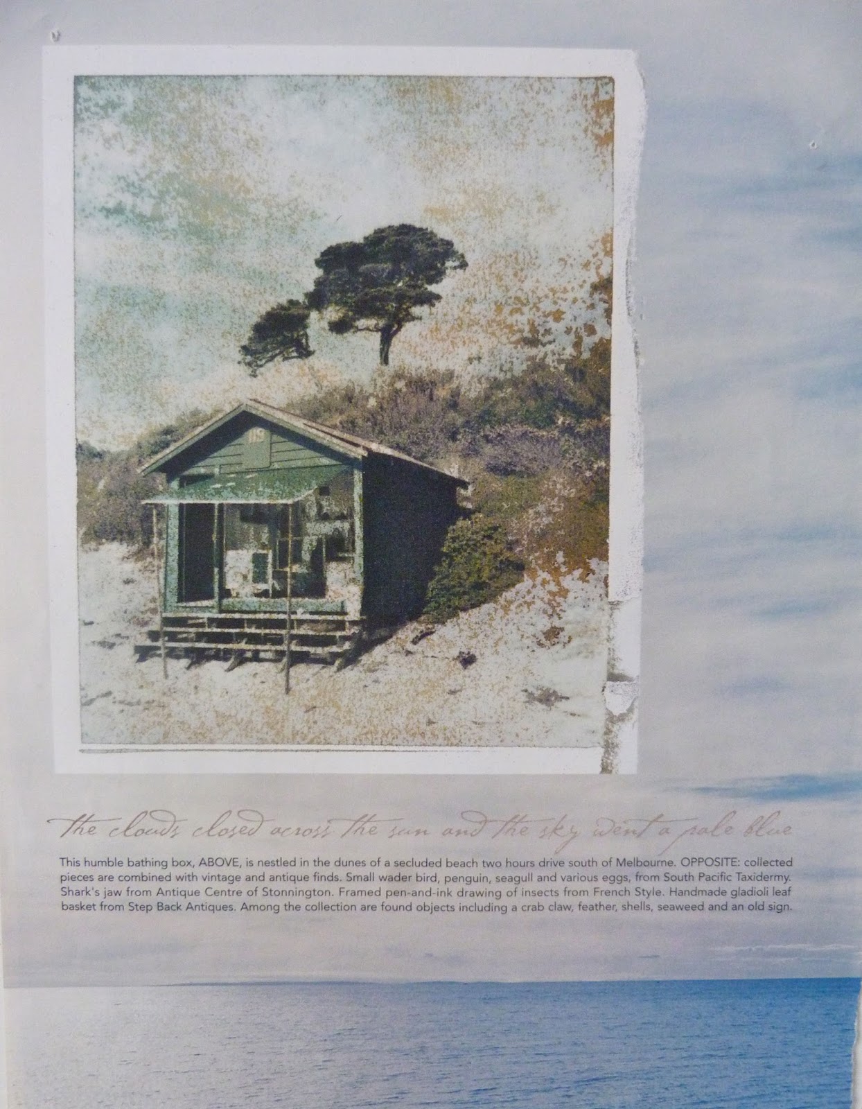 beachcomber: vintage beach shack