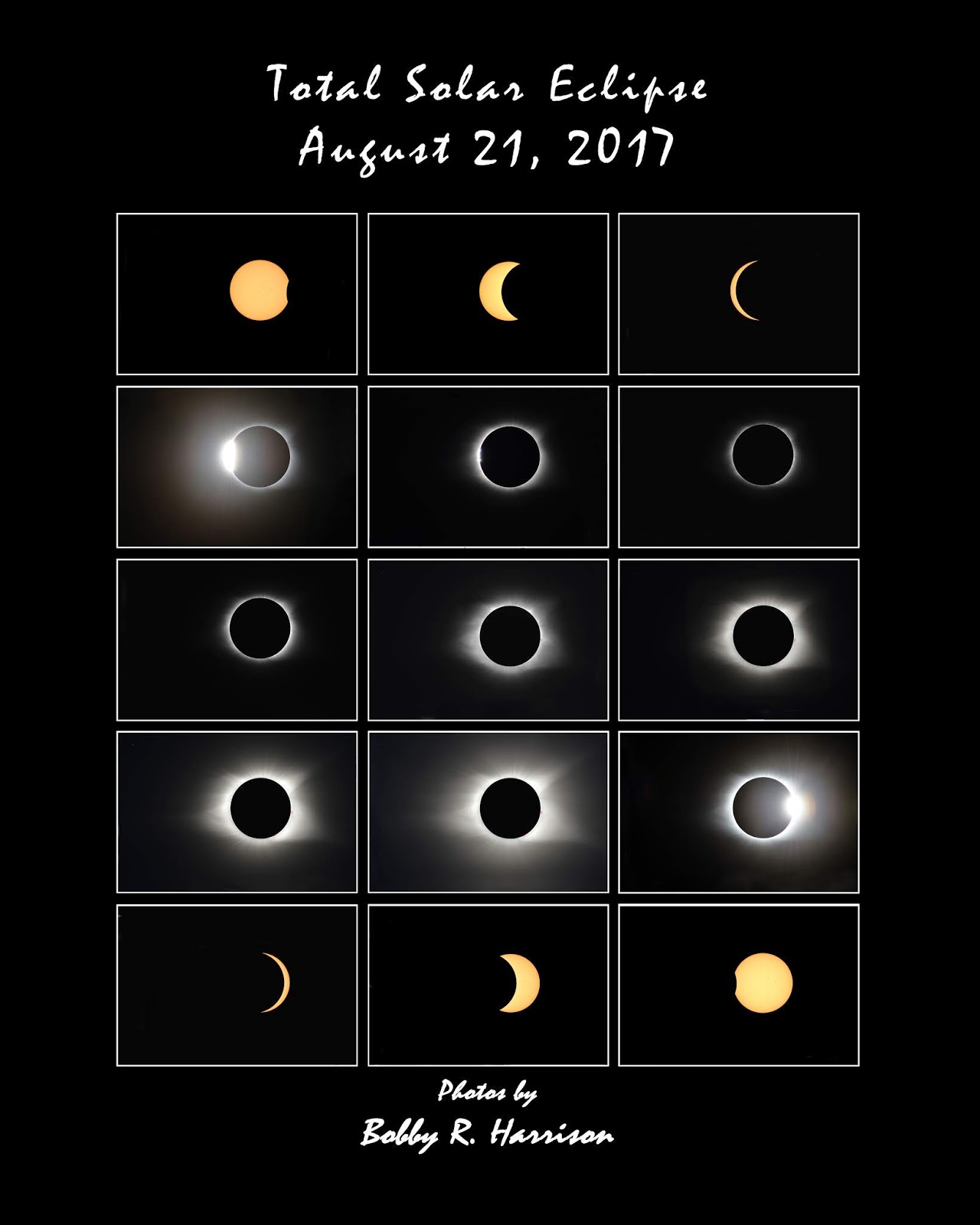 Bobby Harrison Bird Photography