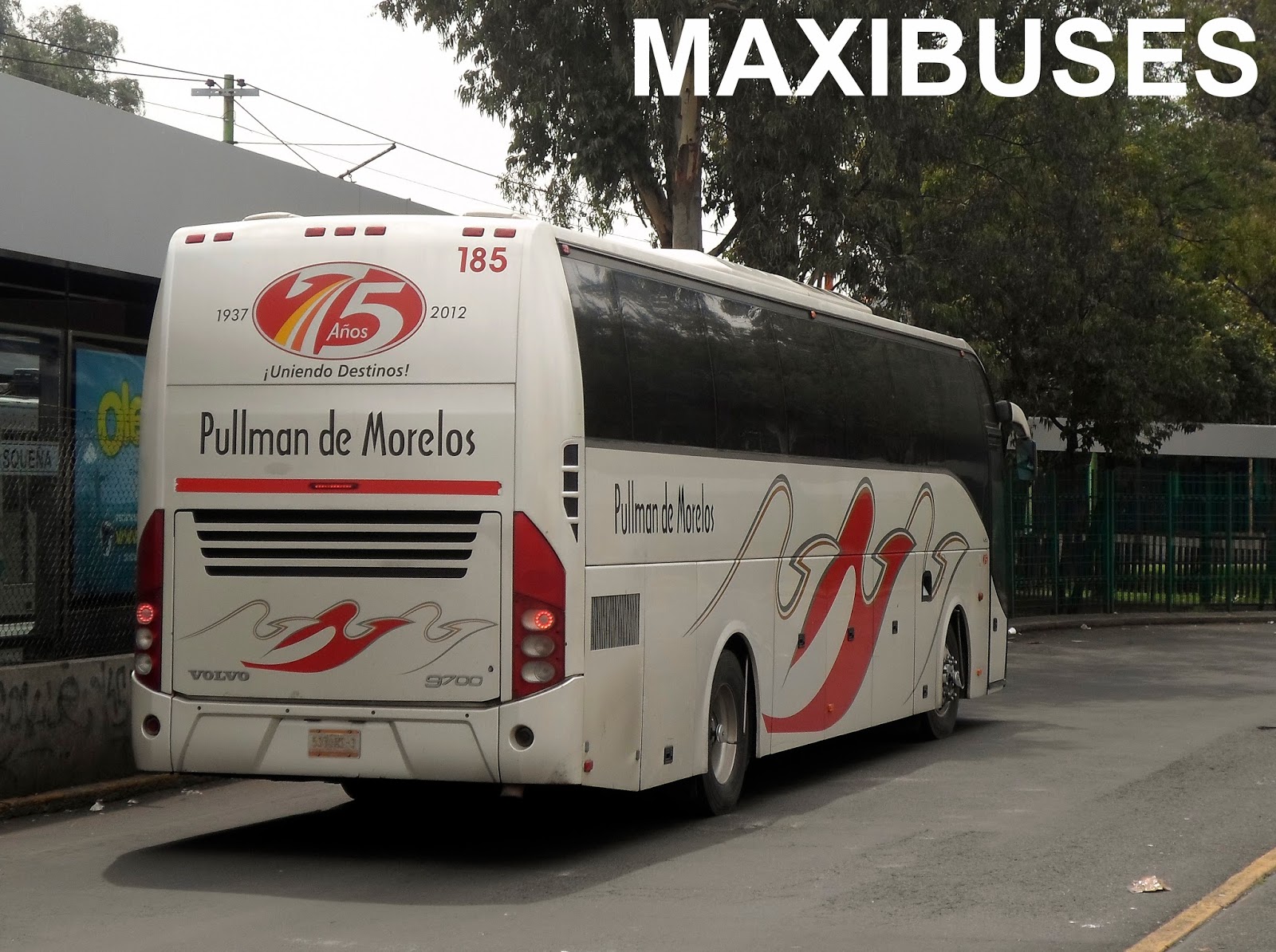 MAXIBUSES: PULLMAN DE MORELOS