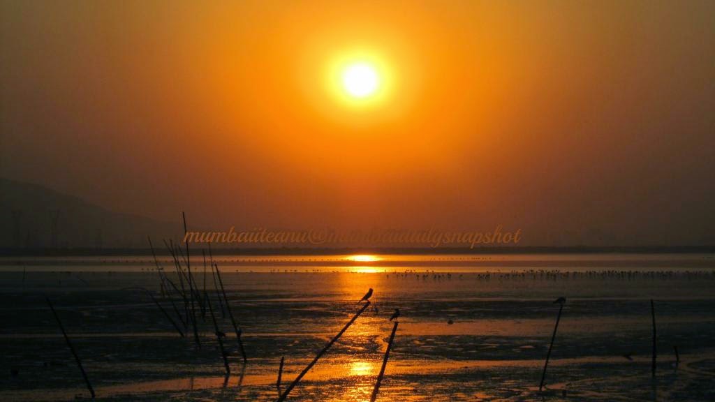 Mumbai Daily Snapshot: Skywatch Friday 2015 - 3 : Sunset At Sagar Vihar