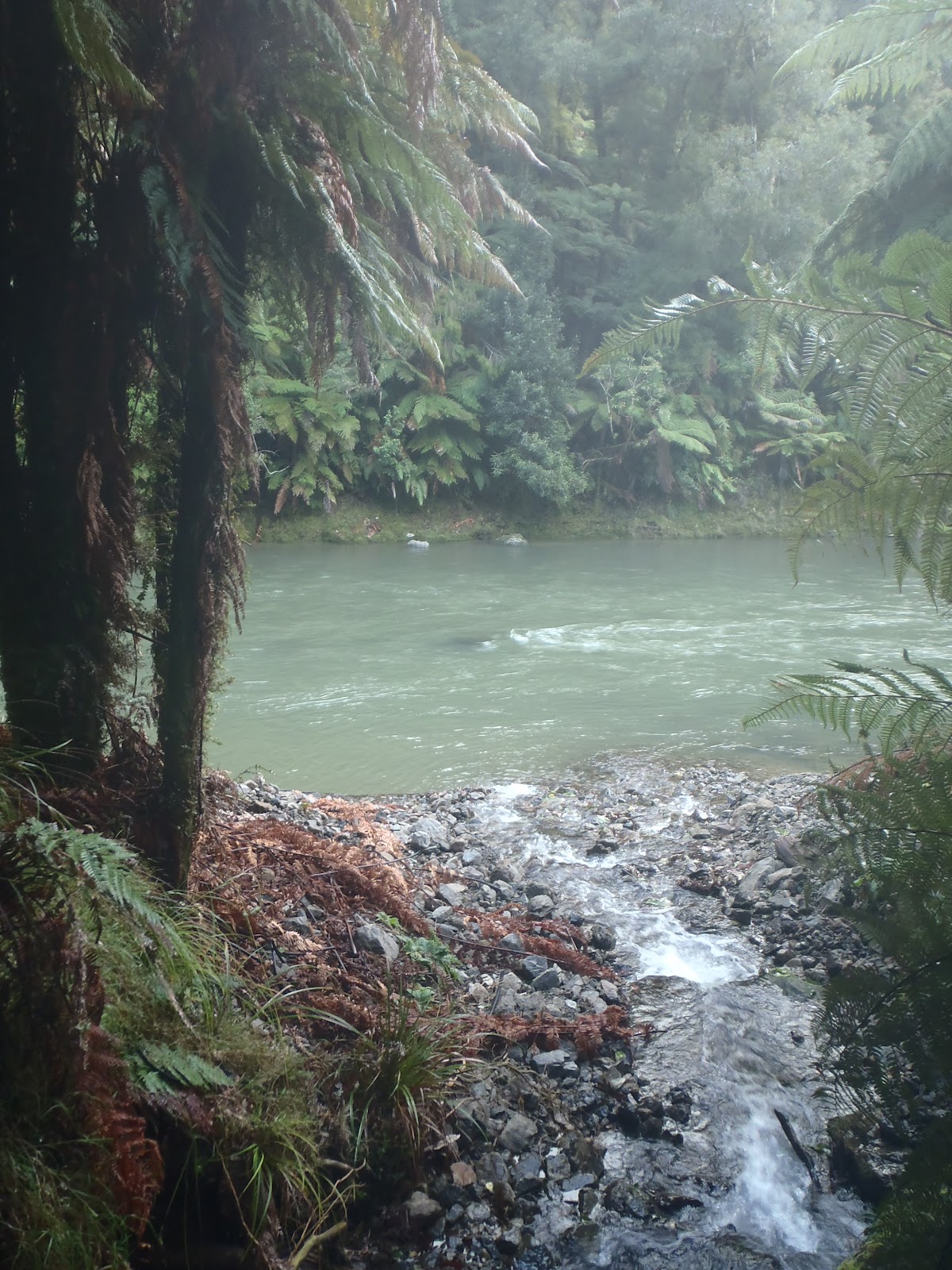 trampstation: Te Urewera National Park
