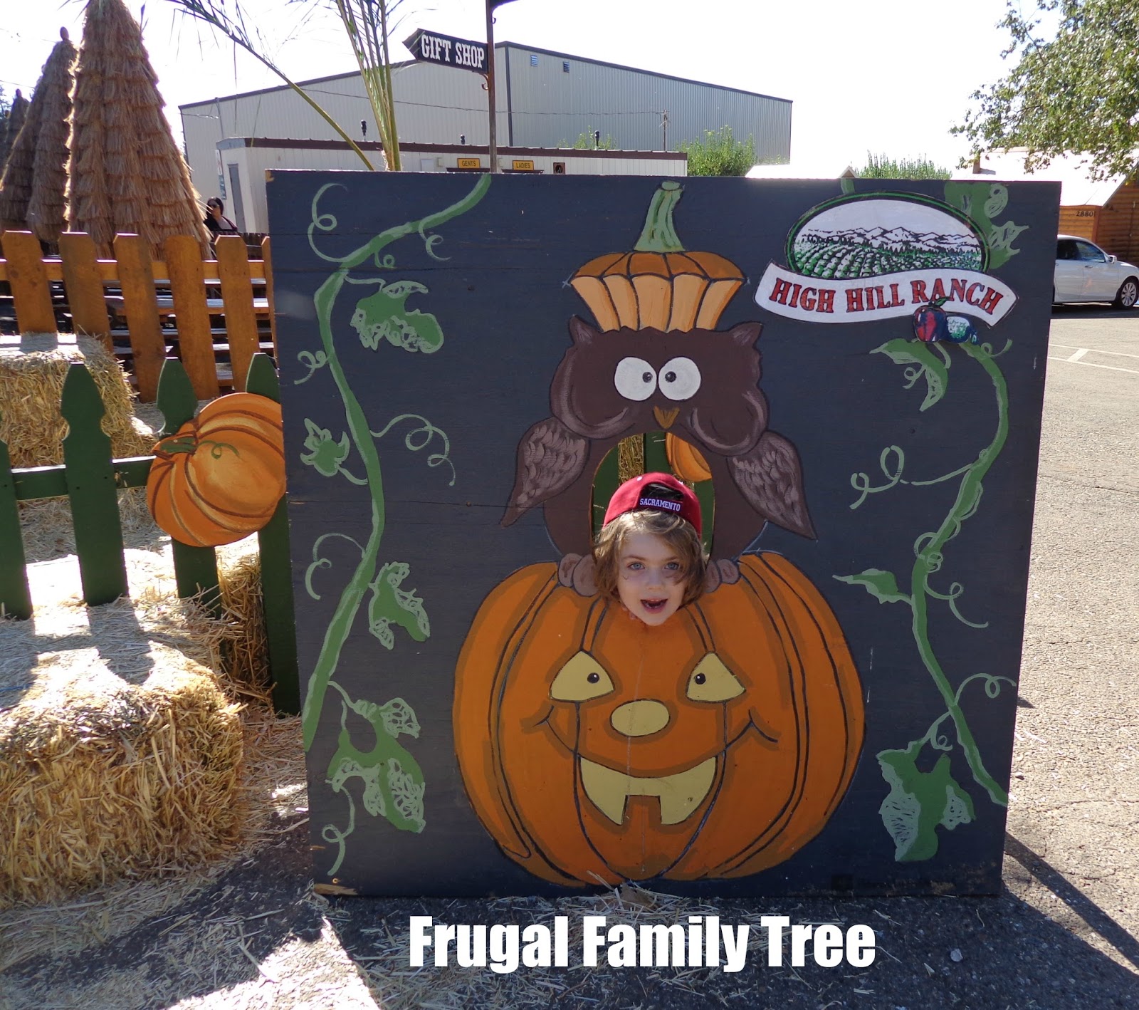 Fall Fun at High Hill Ranch Apple Hill California #AppleHill #CA ...
