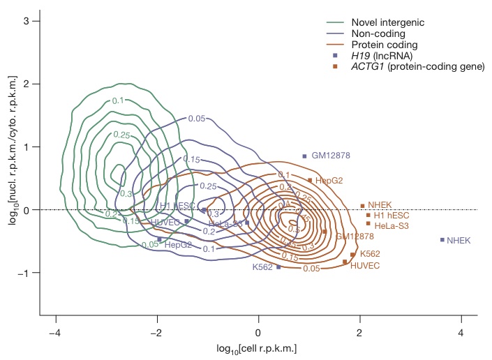 BioMed Notes: ENCODE salvages “junk” DNA