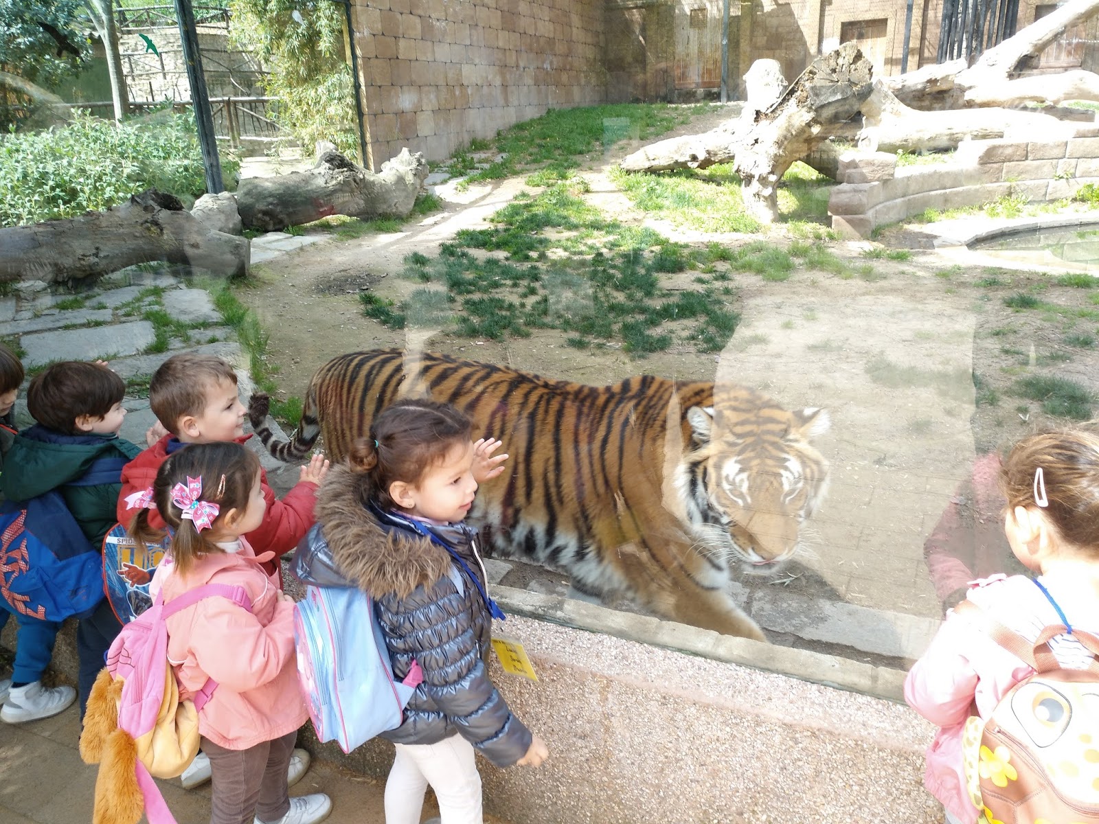 Profe Rafa de Infantil: Hoy, vamos de excursión al Zoo