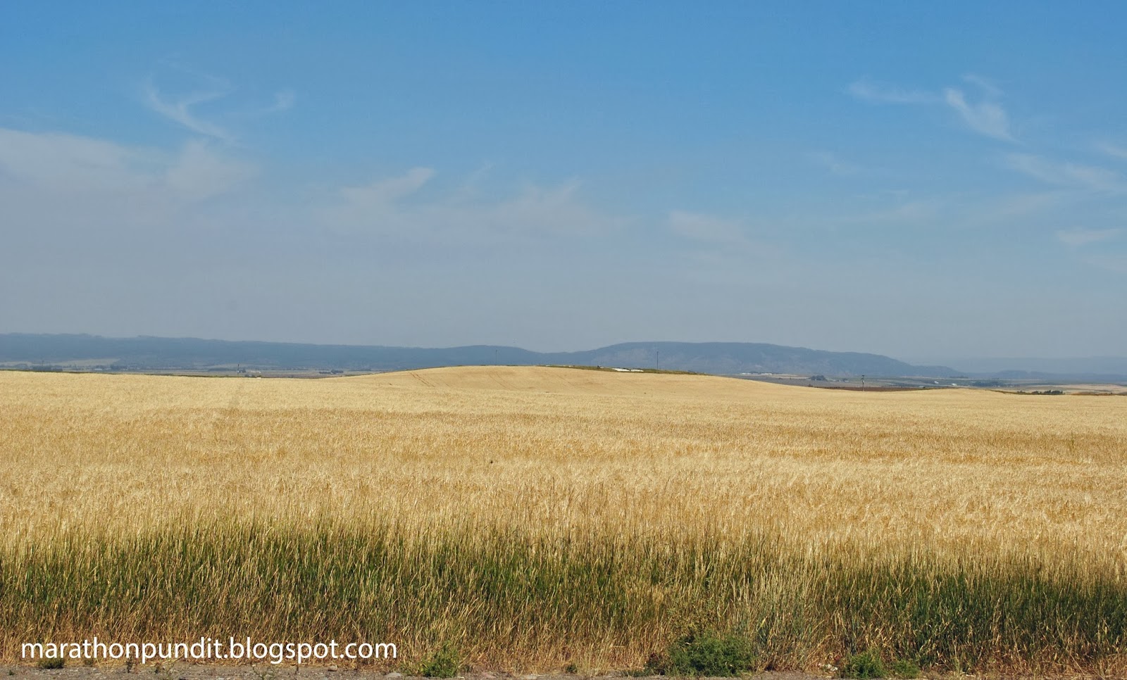 Marathon Pundit: (Photos) Idaho wheat fields