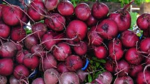 BETERRAGA COMBATE LA ANEMIA Y ENFERMEDADES DE LA SANGRE - Clarín Chiclayo