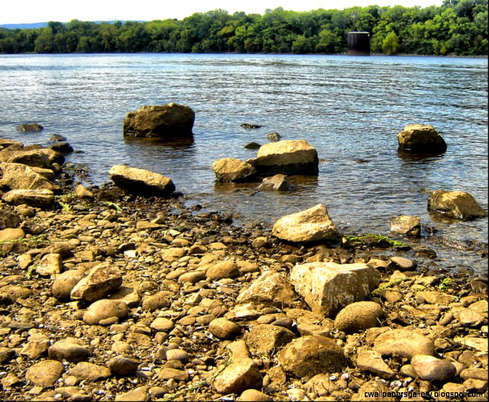 Rocky River Bank | Wallpapers Gallery