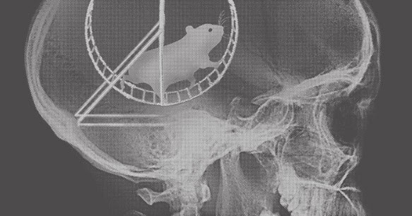 In my head today.: Damn hamsters.