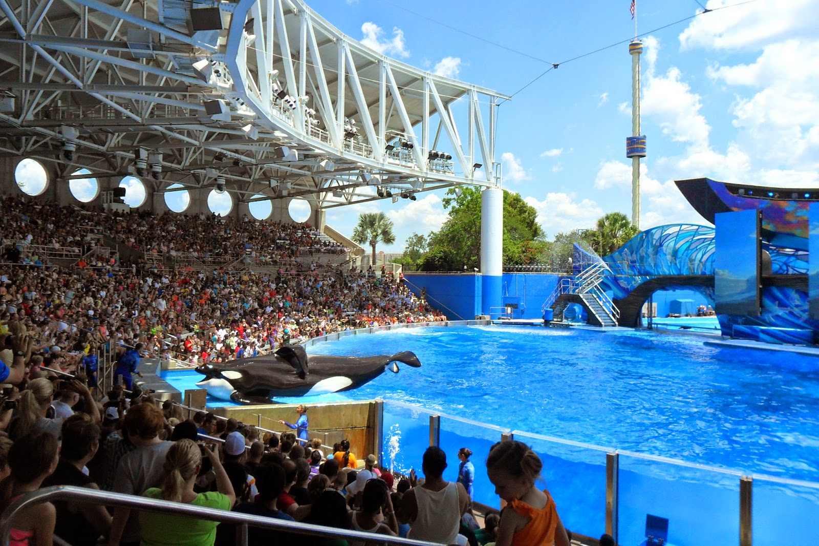 Nos encontramos pelo mundo...: SeaWorld Parks & Entertainment