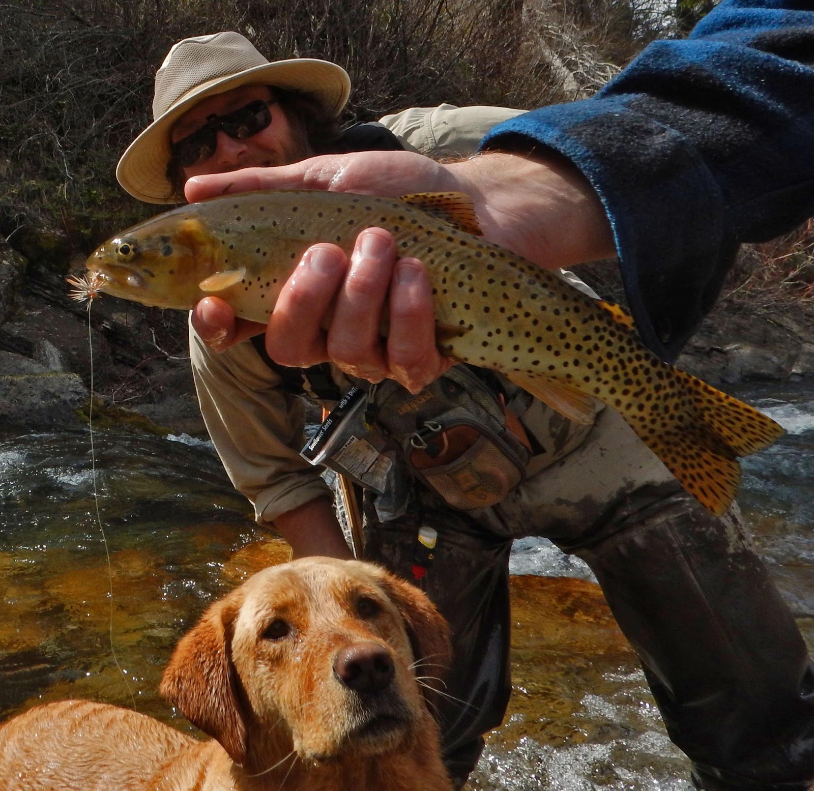 Jactionary: An Interview with Chadd VanZanten & Russ Beck, Part Three