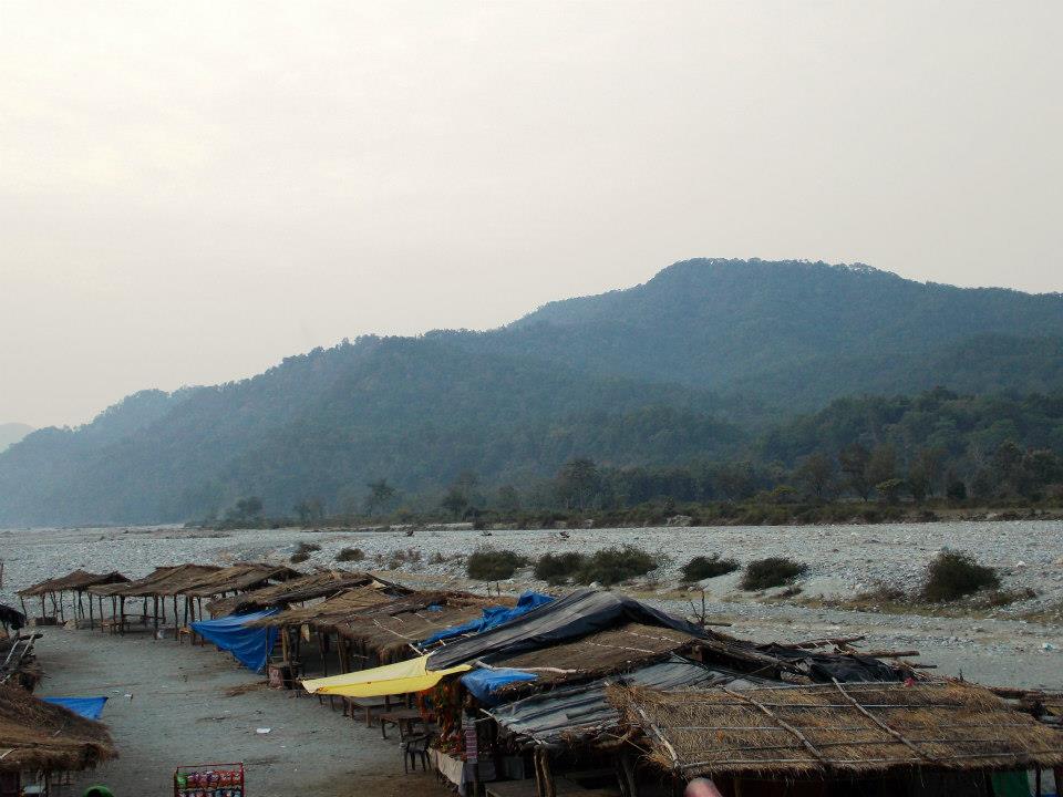 The Pensive: Flora and Fauna of Jim Corbett!