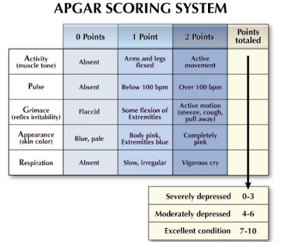 Pediatrics Notes: Introduction to Apgar Score