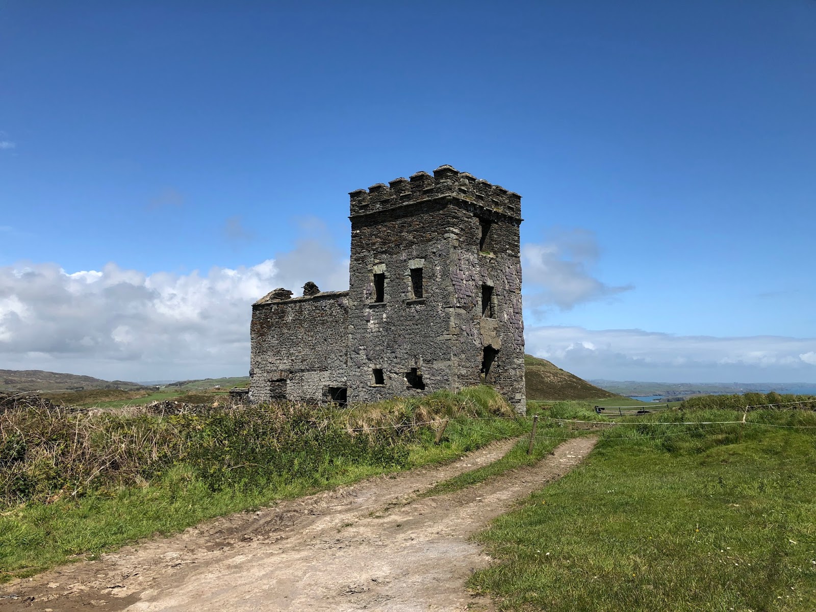 Wessex Wildlife: Return to Toe Head