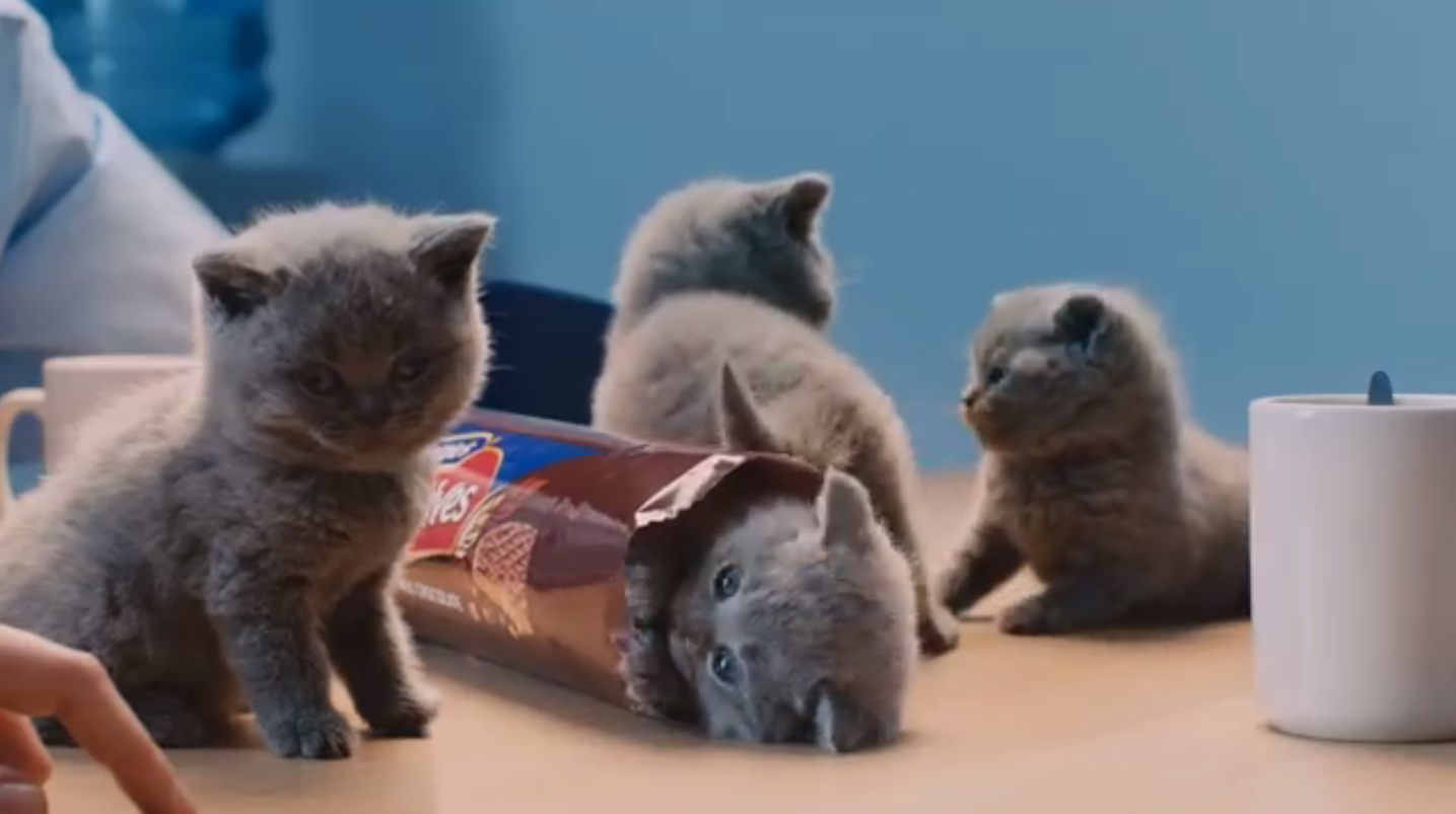 ADsoup: The chocolatey snuggle of McVitie's Advert