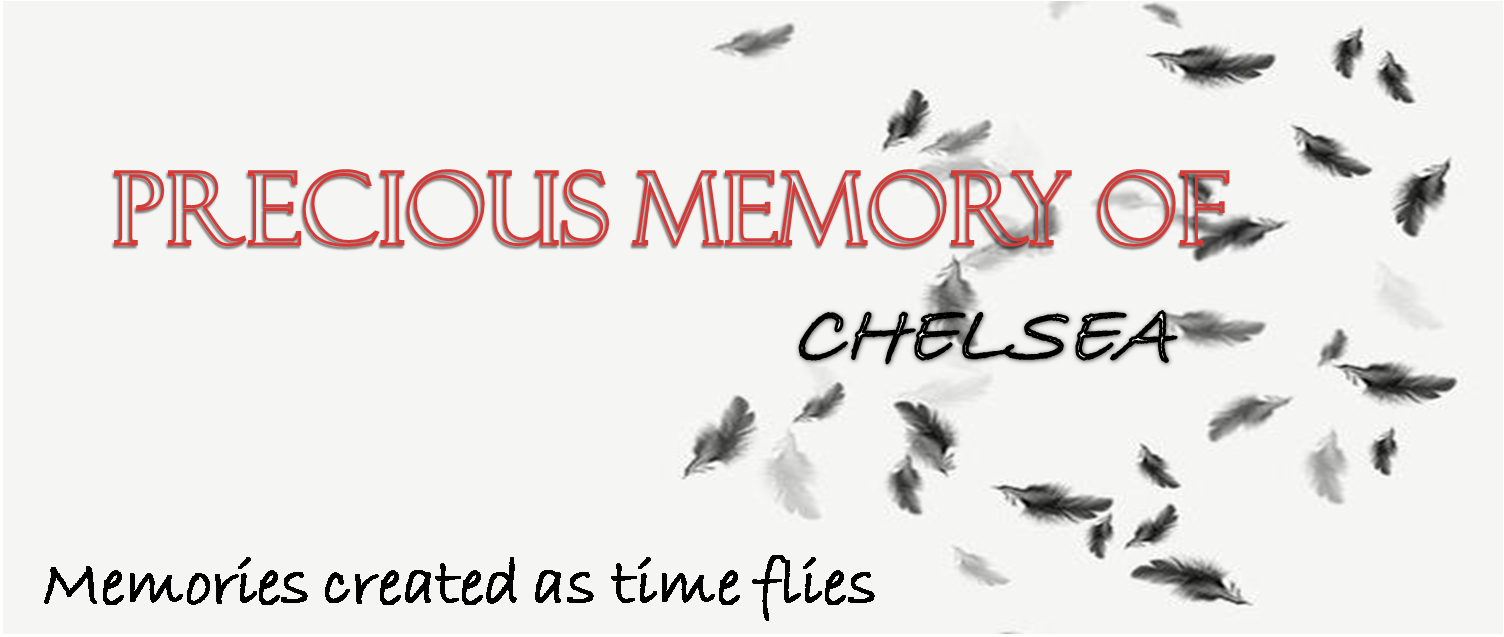Precious Memory Blog