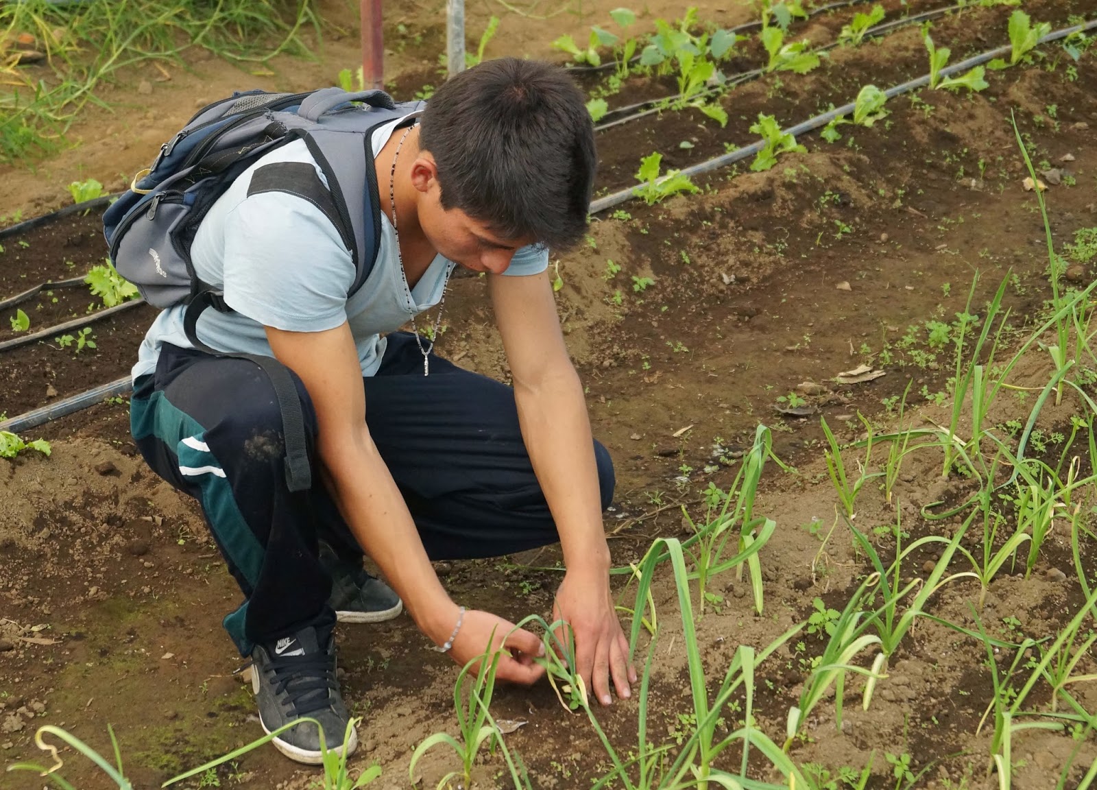 CBTA 96, XALATLACO, ESTADO DE MÉXICO.: CENTRO DE BACHILLERATO ...