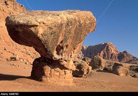 The Pioneer/Honeymoon Trail: Times Square (Day 24)