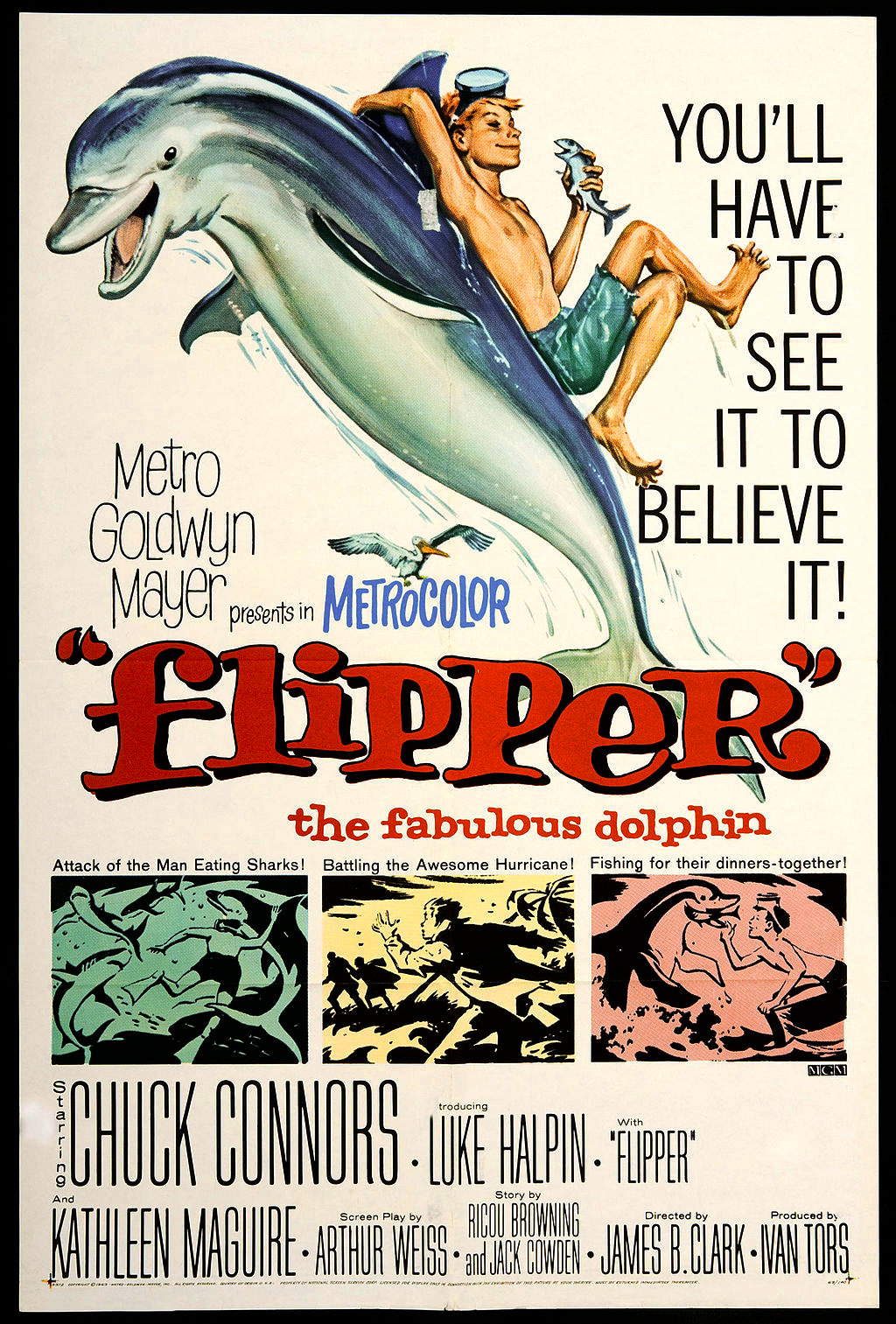Welcome to RolexMagazine.com: FLIPPER: How 'The King Of The Sea' is ...