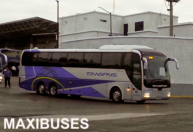 MAXIBUSES: TRANSPAÍS