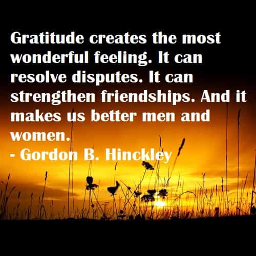 63 Famous quotes on gratitude and thankfulness