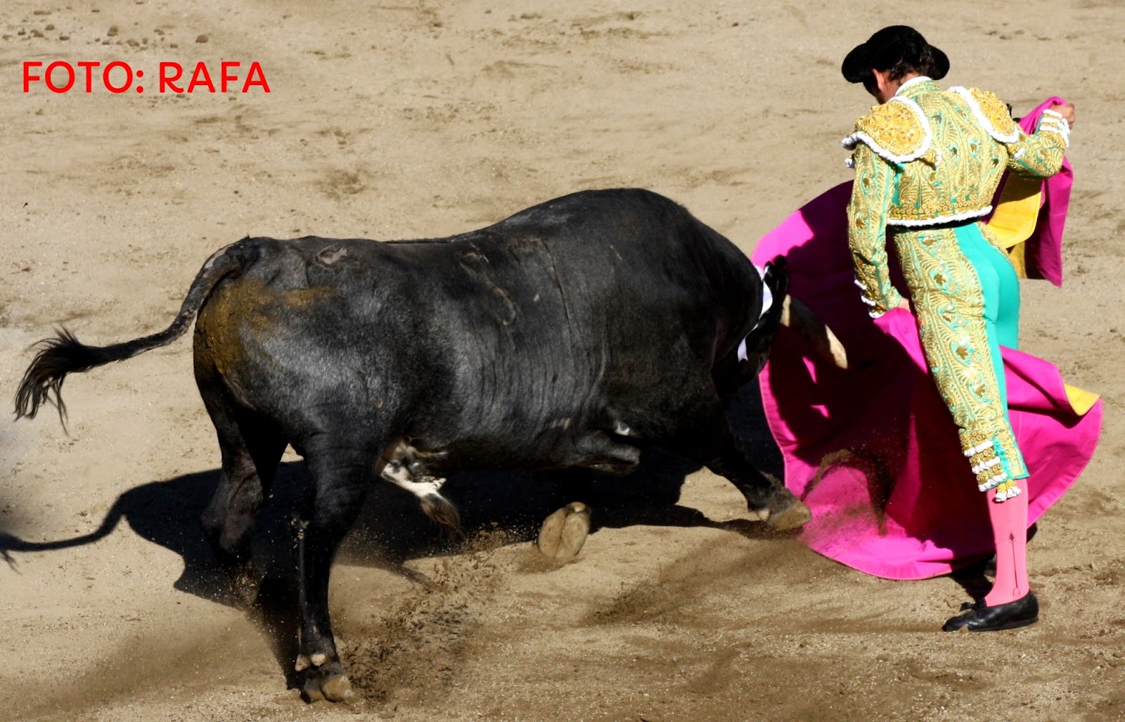 Toreo en Red Hondo: CÉRET DE TOROS, 2016 (y 3): SALTILLO