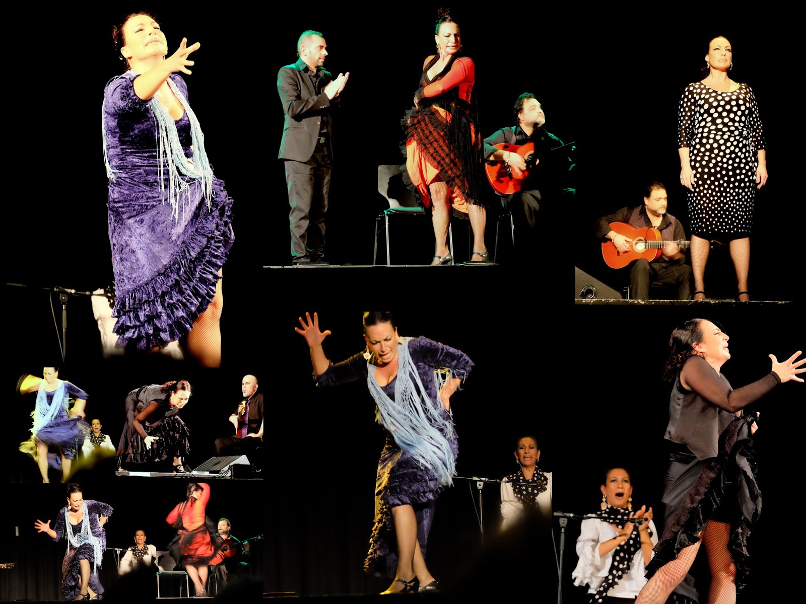 vieregg text redaktion lektorat + SV Verlag: Wie war's bei MARIA ...