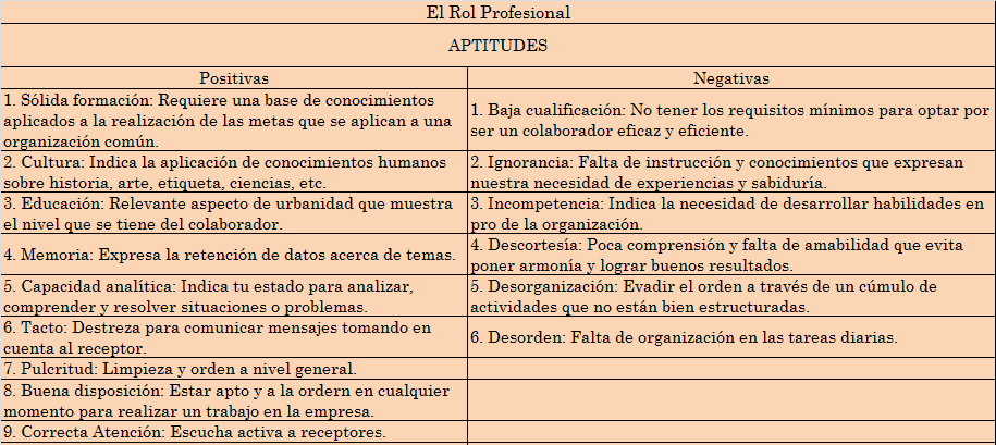 Cultura empresarial: El Rol Profesional