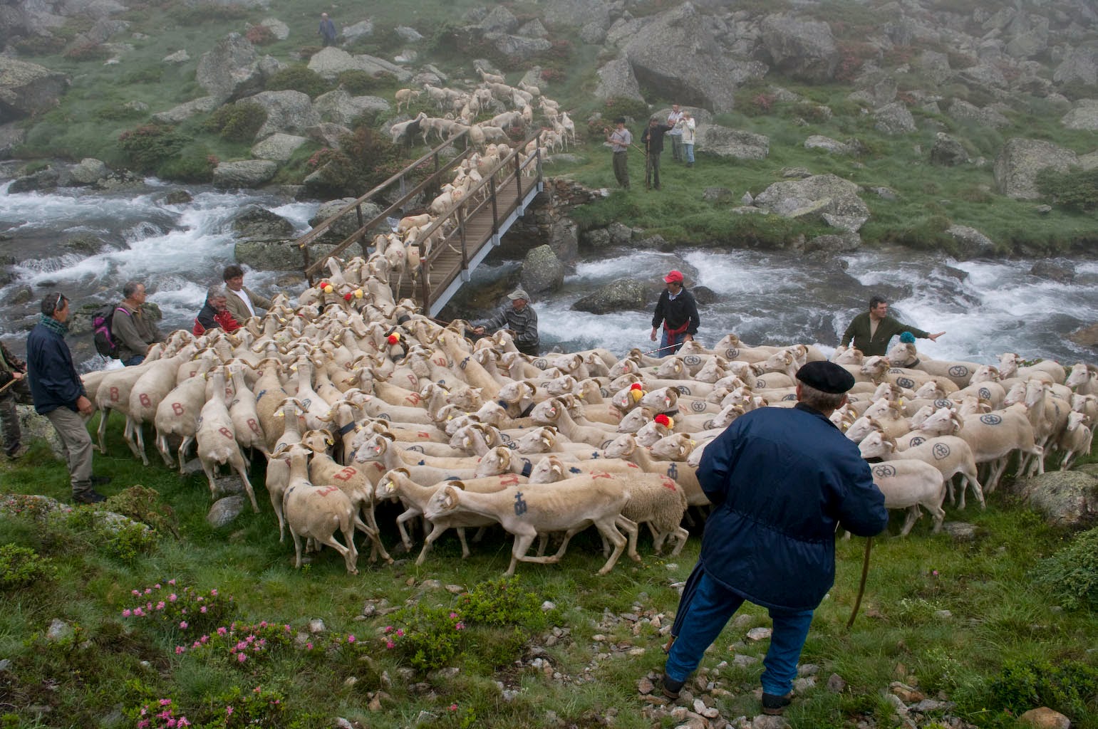 The Beret Project: Transhumance in the Vicdessos