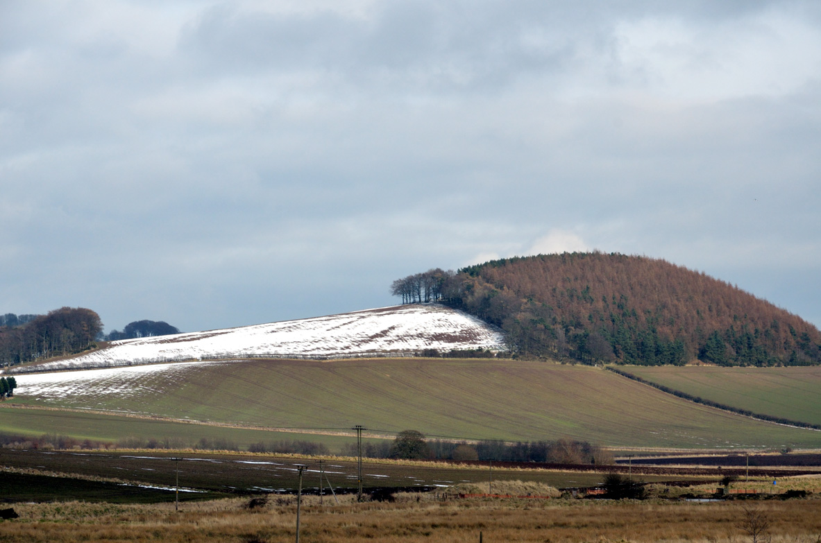 North Fife: North Fife Landscape 14th March