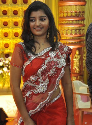 South indialn TV serial actresses picture collection 1 - Cini Focus