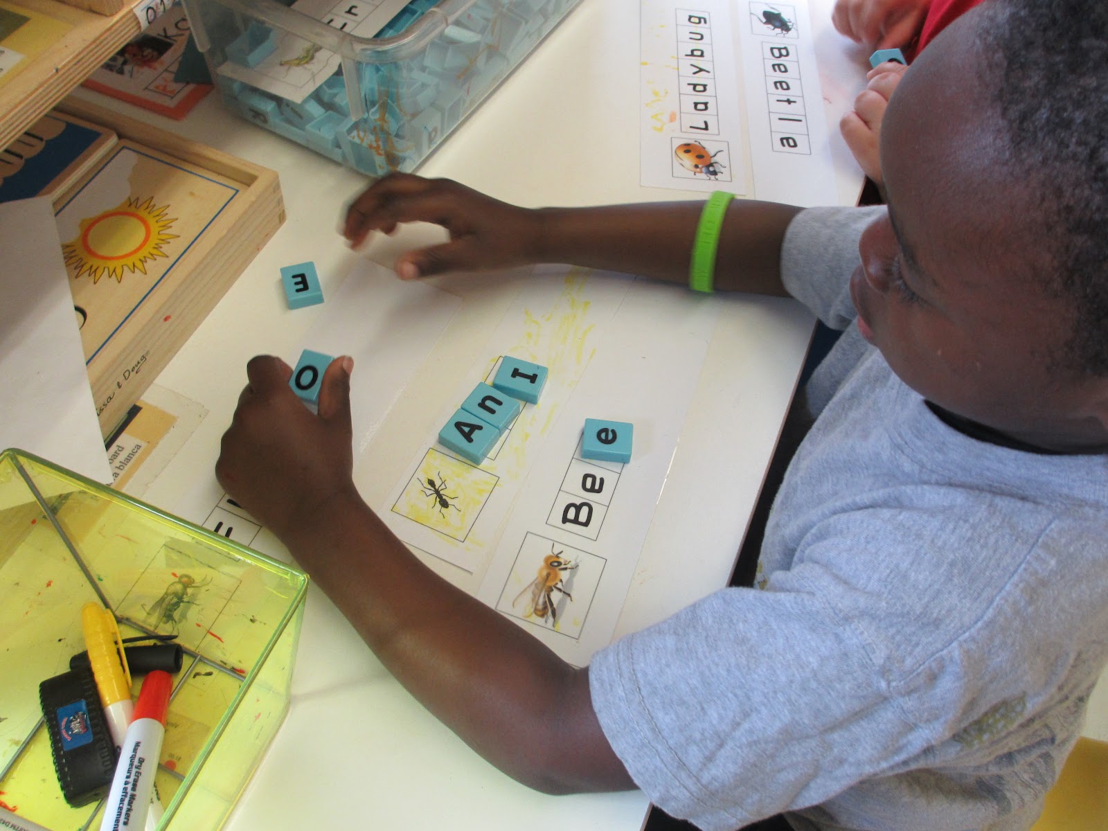 Teaching Munchkins: More Insect Fun- plus a FREEBIE!